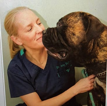 Meet Our Team - Lifetime Animal Hospital